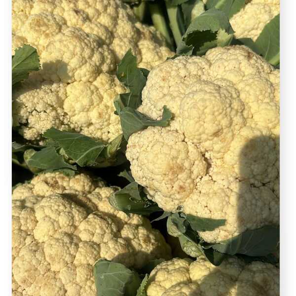 Cauliflower