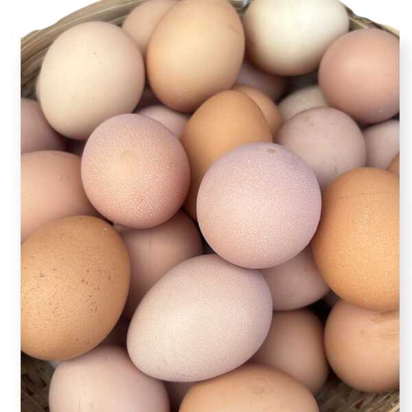 Local Egg