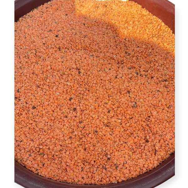 Red Lentils