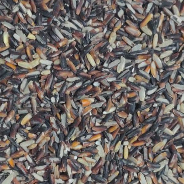 Black Rice