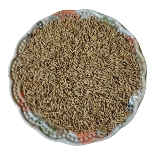 zravi.com | Ethnic & Organic hub