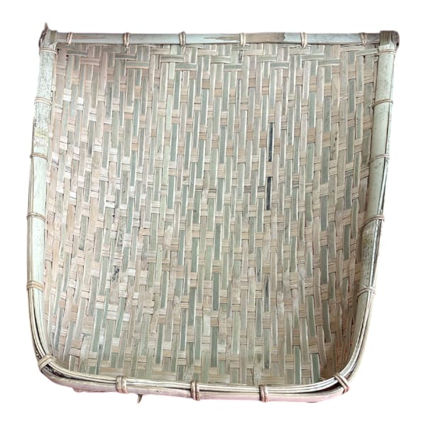 Bamboo Supli