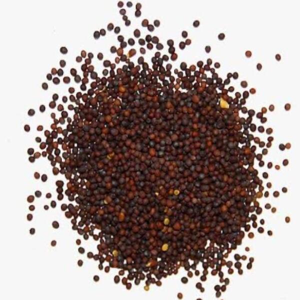 Mustard Seeds