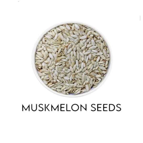Muskmelon Seeds