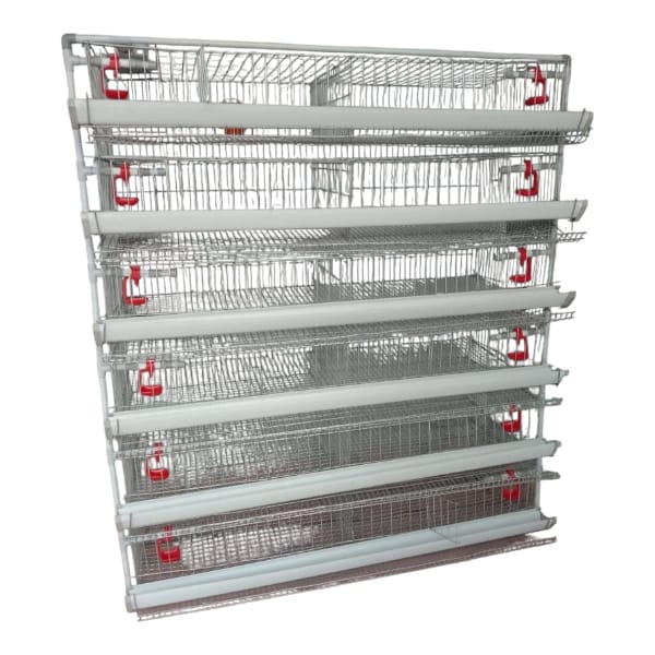 Poultry Layer Cage