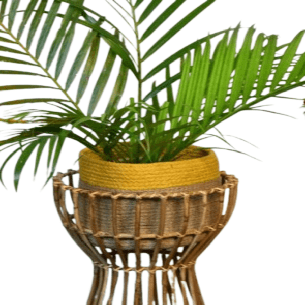 Cane Flower Pot Stand