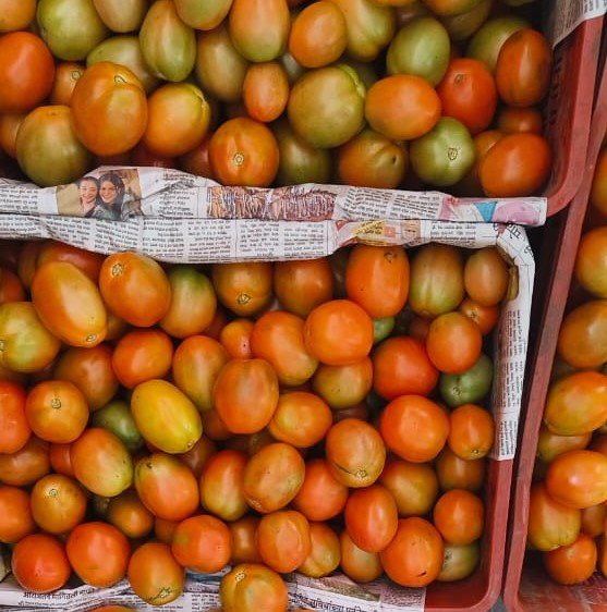 Tomato