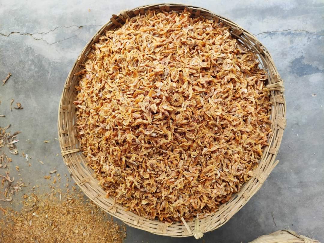 Dried Prawn