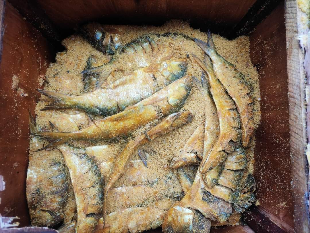 Dried Hilsa