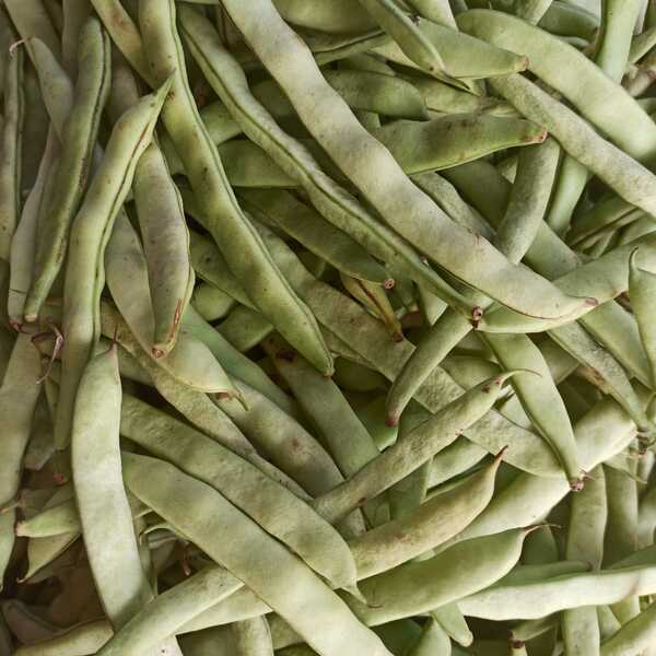 Flat Beans