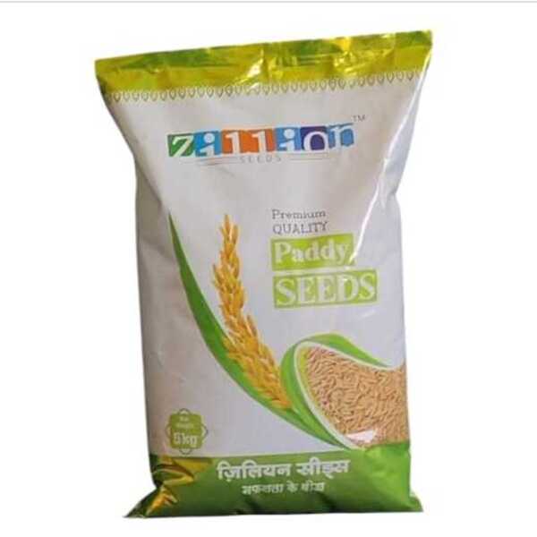 Paddy Seed